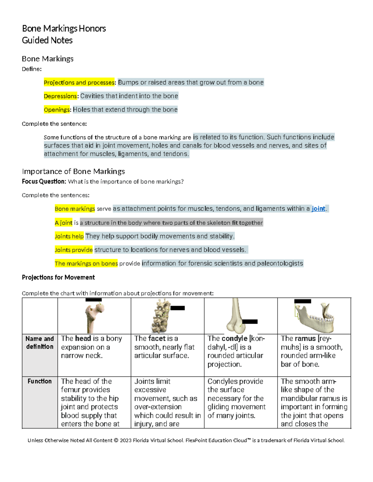 Muscle notes 2.03 - Bone Markings Honors Guided Notes Bone Markings ...