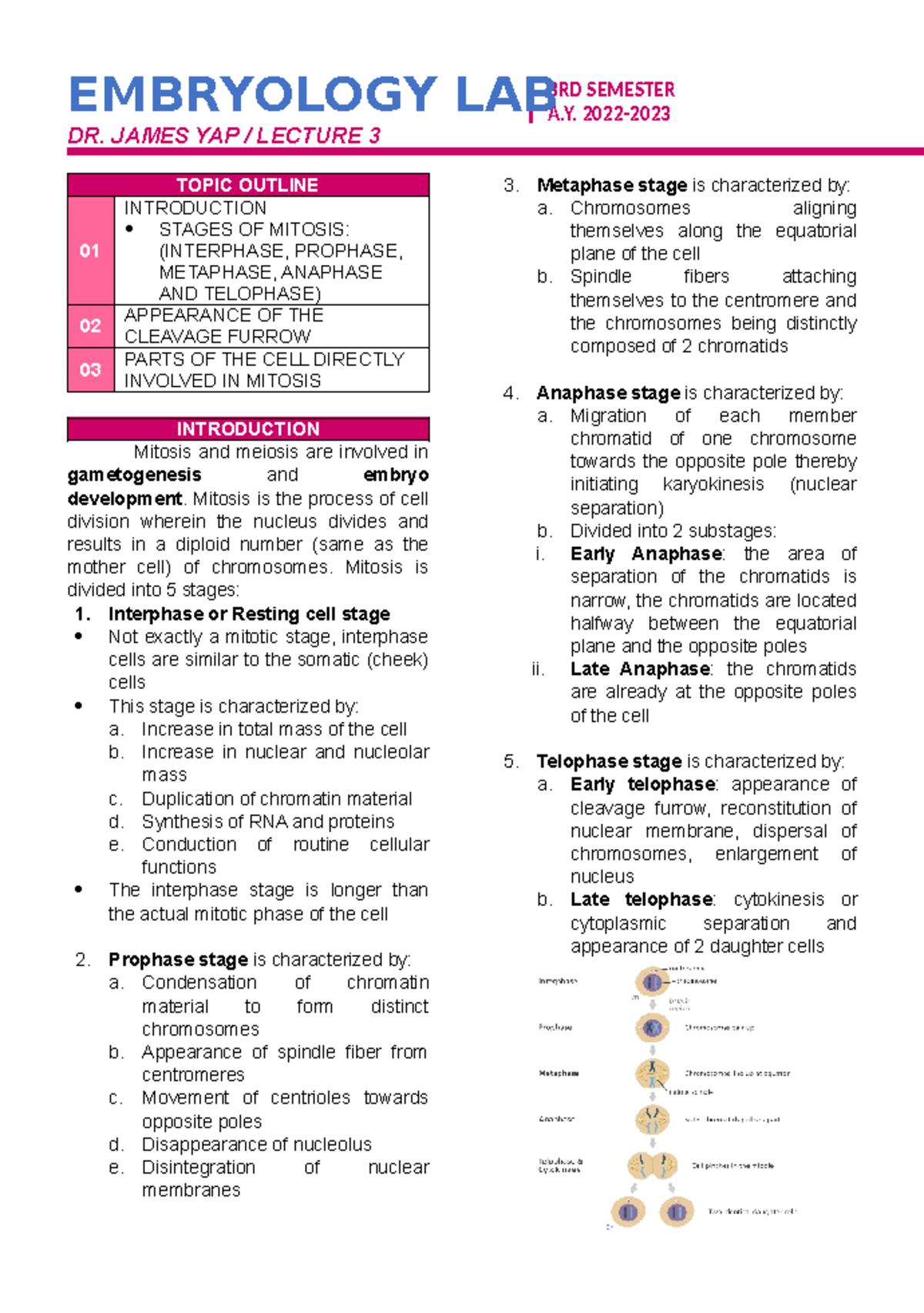 Embryology Laboratory 3 - | 3RD SEMESTER EMBRYOLOGY LAB A. 2022- DR ...