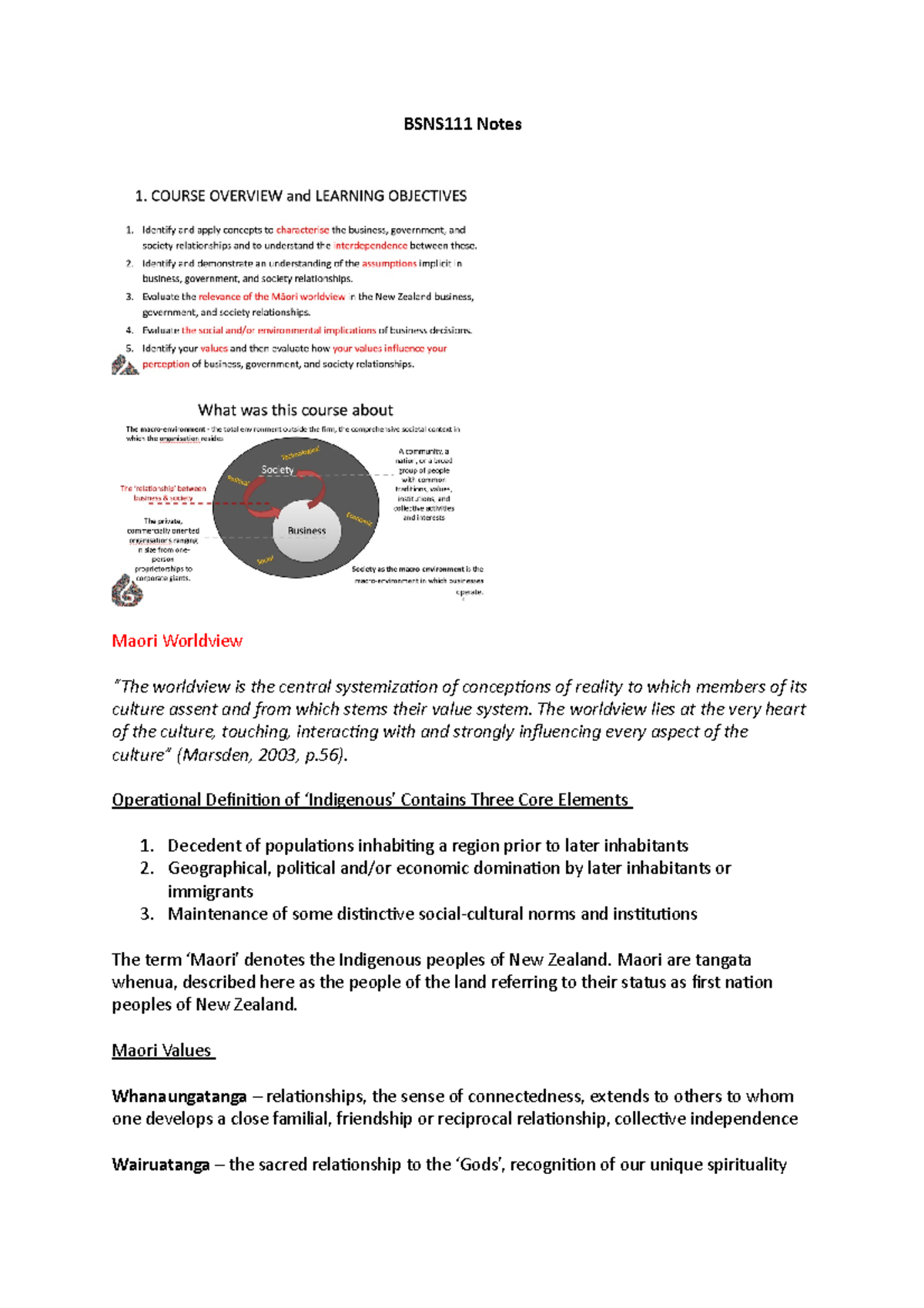 BSNS111 Course Overview Notes - BSNS111 Notes Maori Worldview “The ...