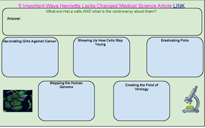 Kami Export - Jamarian Crocker - DGP Week 28 - ELA 8 Fourth Nine Weeks ...