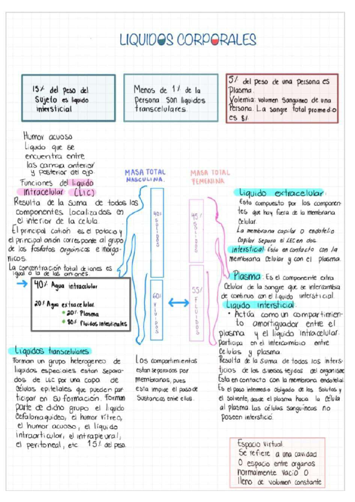 Liquidos corporales - Fisiología 1 - Studocu