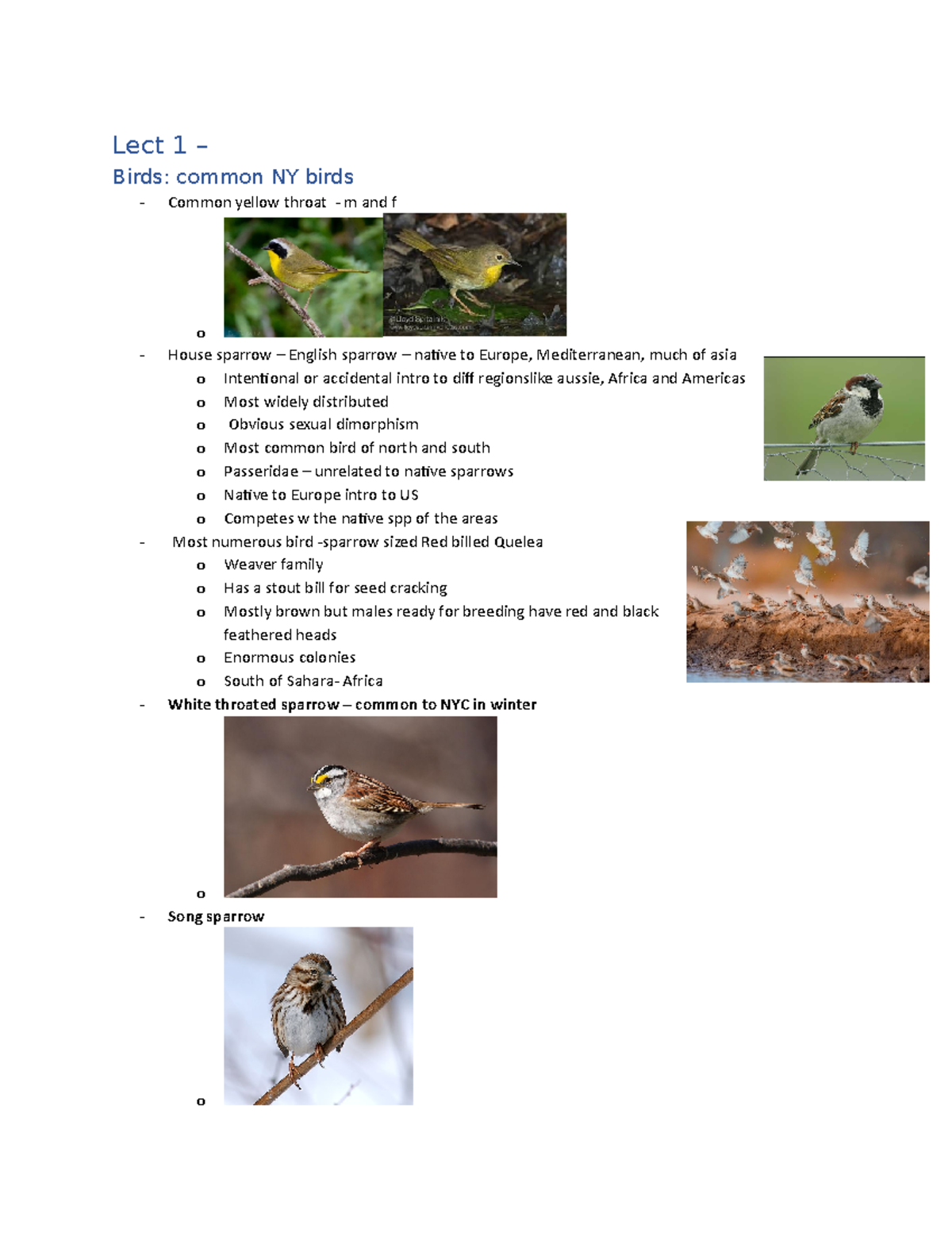 Ornithology - Most Lects - Lect 1 – Birds: common NY birds Common ...