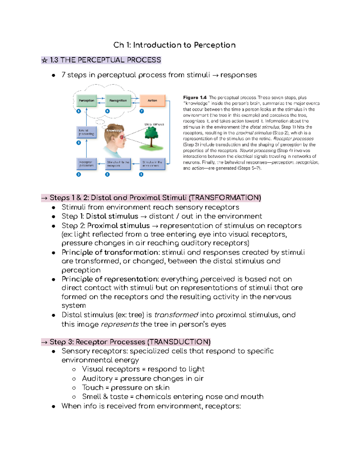 Chapter 1 Notes - Ch 1: Introduction to Perception ☆ 1 THE PERCEPTUAL ...