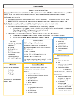 Tuberculosis Concept Map - Tuberculosis Disease Process/ Pathophysiology Primary TB Infection ...