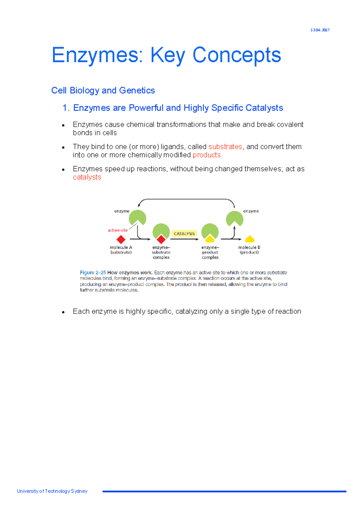 Enzymes Key Concepts-1 - University of Technology Sydney Enzymes: Key ...