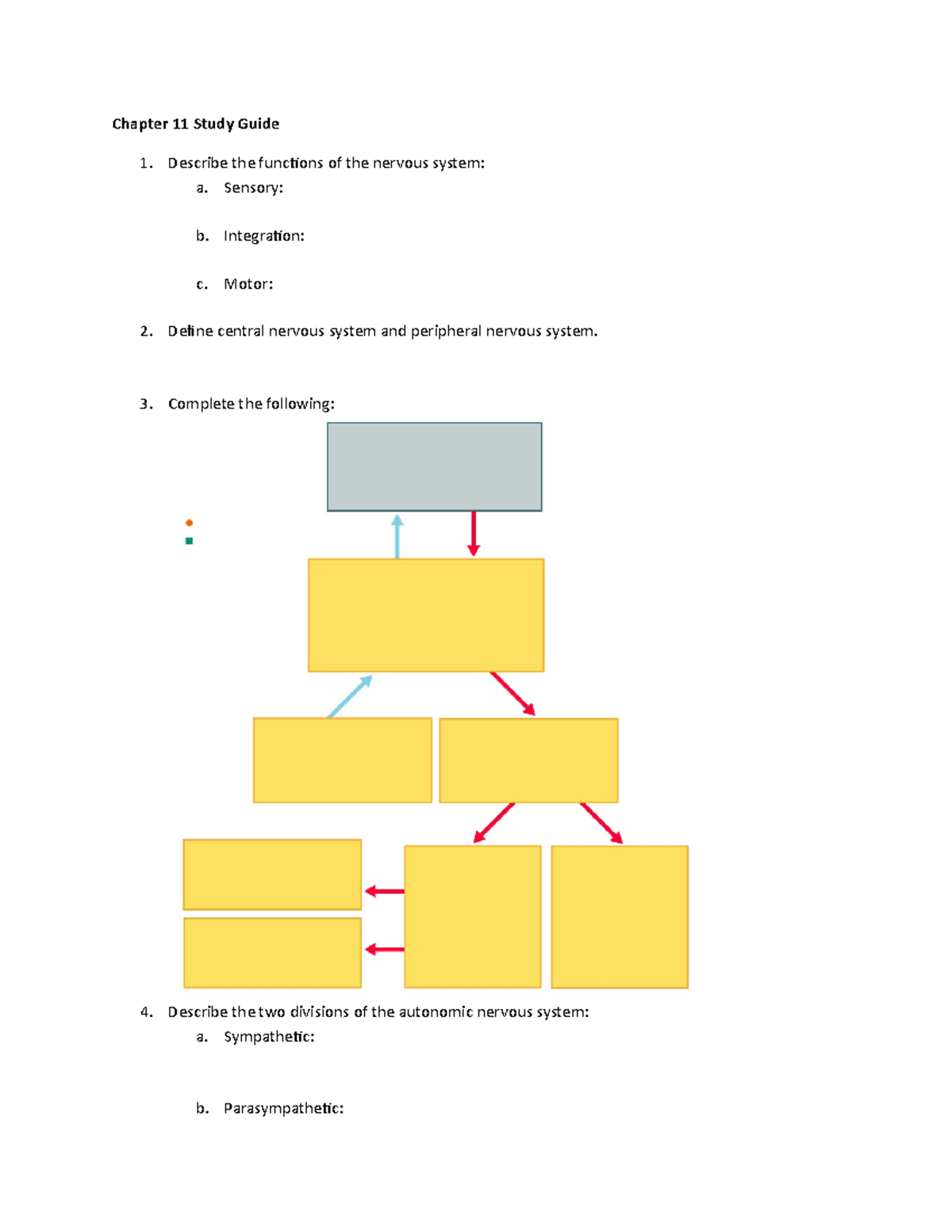 Chapter 11 Study Guide - Chapter 11 Study Guide 1. Describe the ...