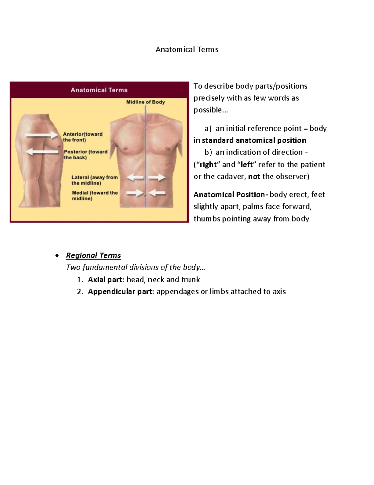 1 Anatomical Terms - Axial part: head, neck and trunk 2. Appendicular ...