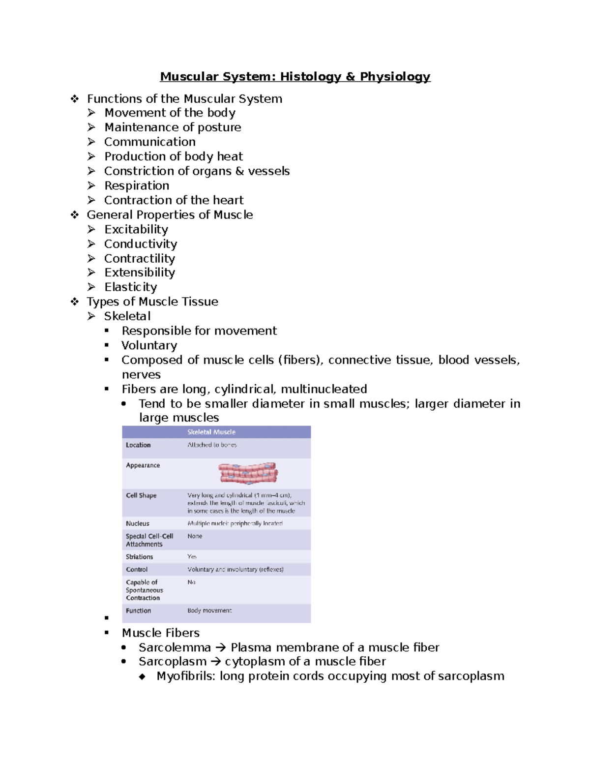 AANT 316 Notes - Muscular System - AANT 316 - UAlbany - Studocu