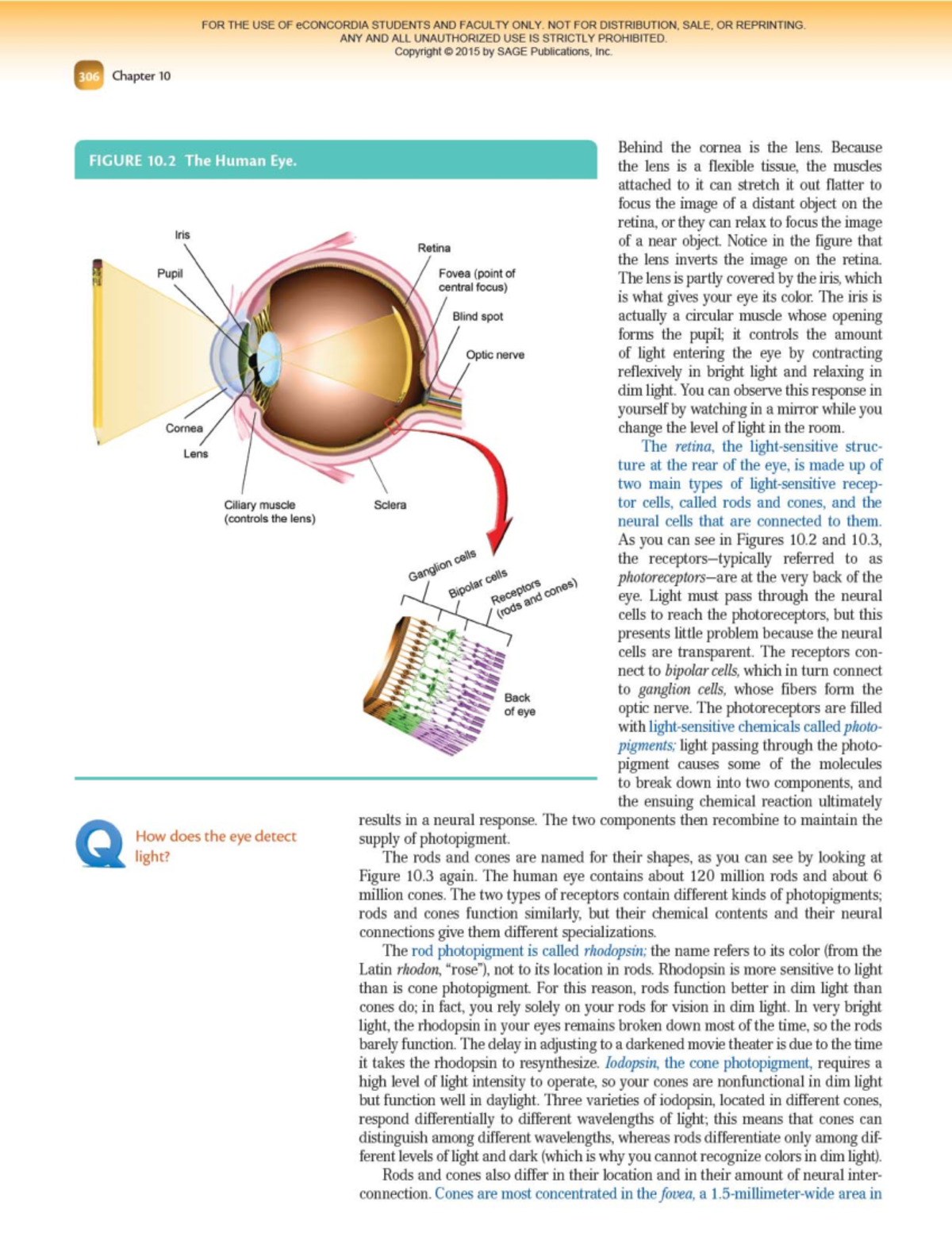 Unit3 2 pp306-309 - reading - PSYC 255 - Studocu