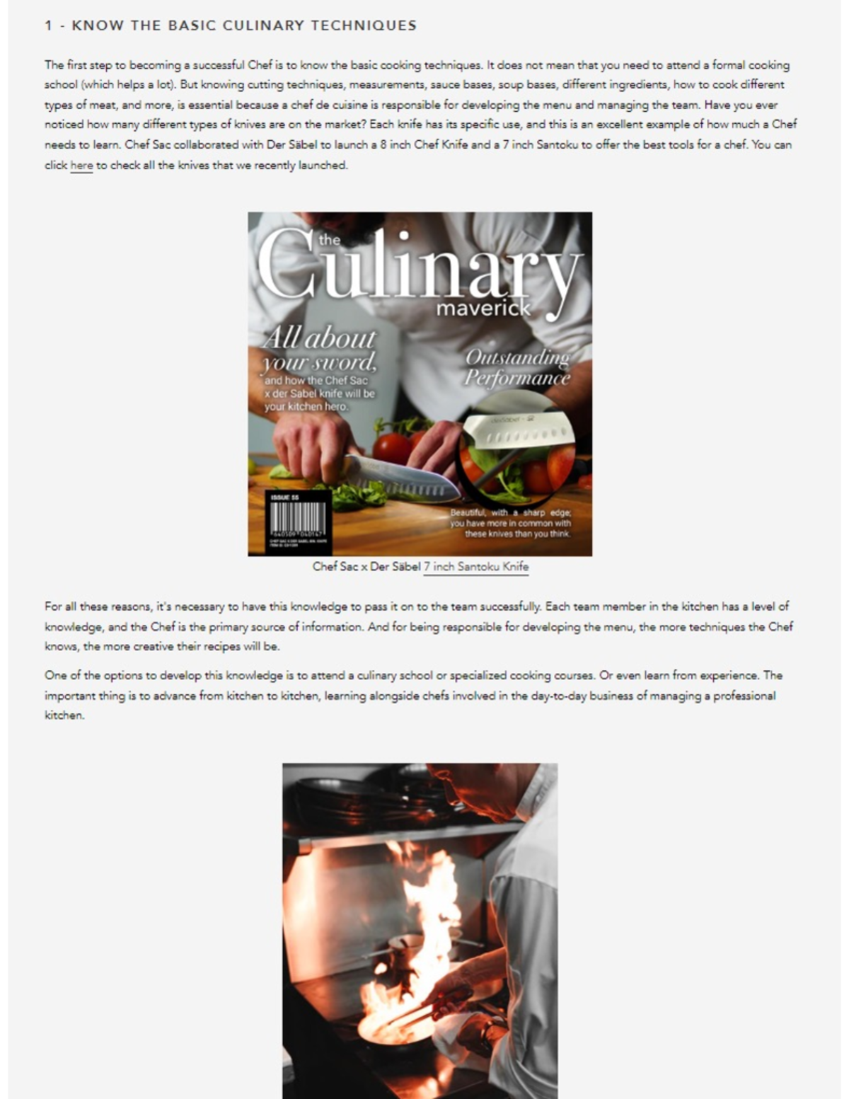 Chef goal1 - A study of culinary and some tips on how to become ...