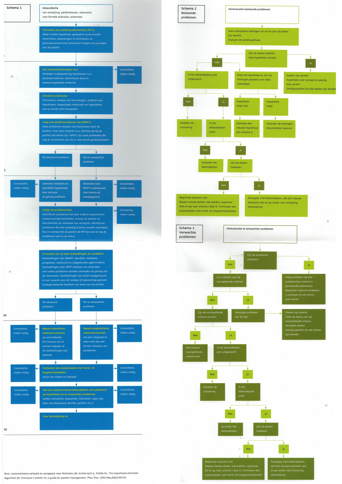 HOAC II stroomschema - Fysiotherapie - Studeersnel