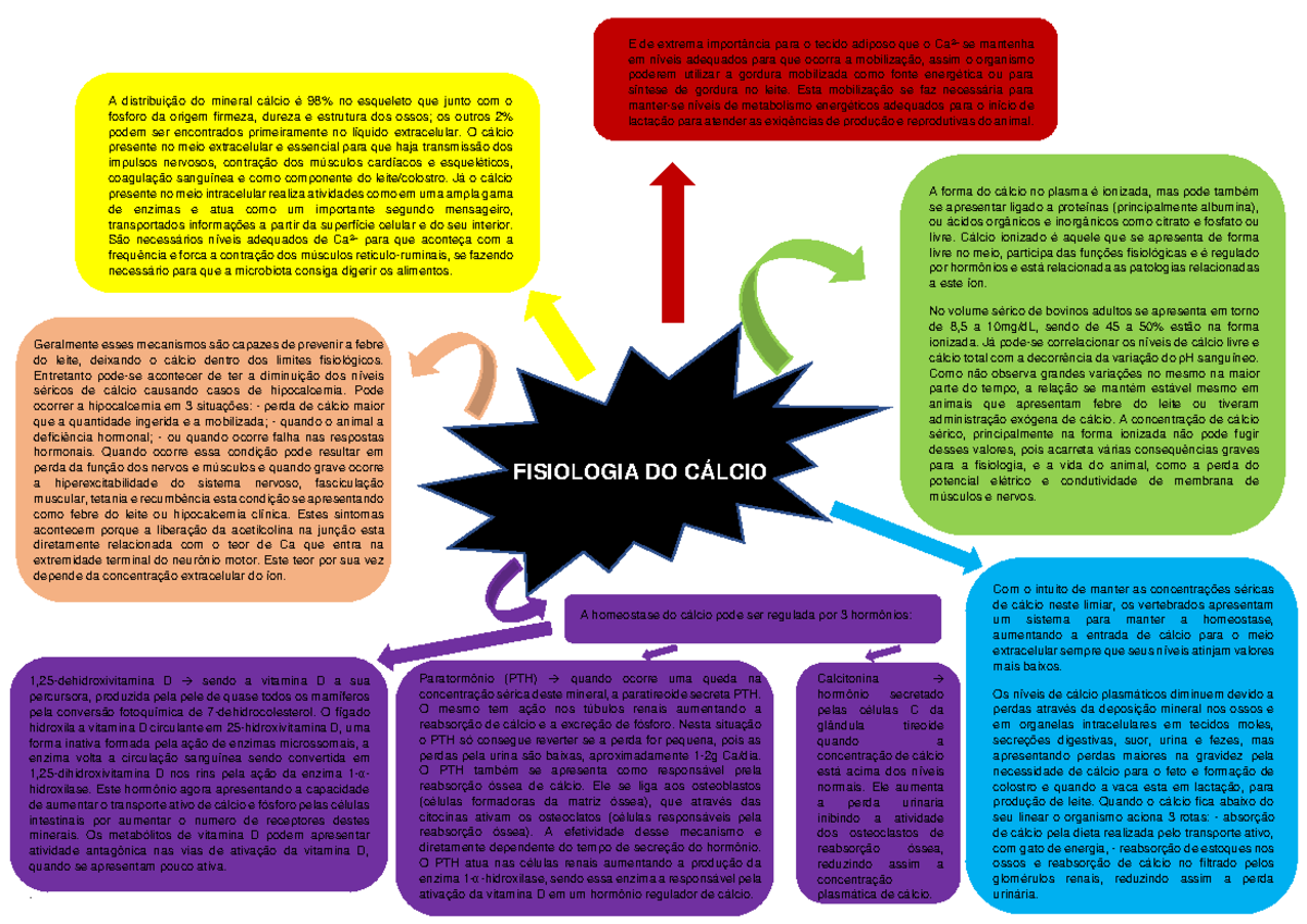 MAPA Mental Fisiologia DO Cálcio - Warning: TT: undefined function: 32 FISIOLOGIA DO CÁLCIO A ...
