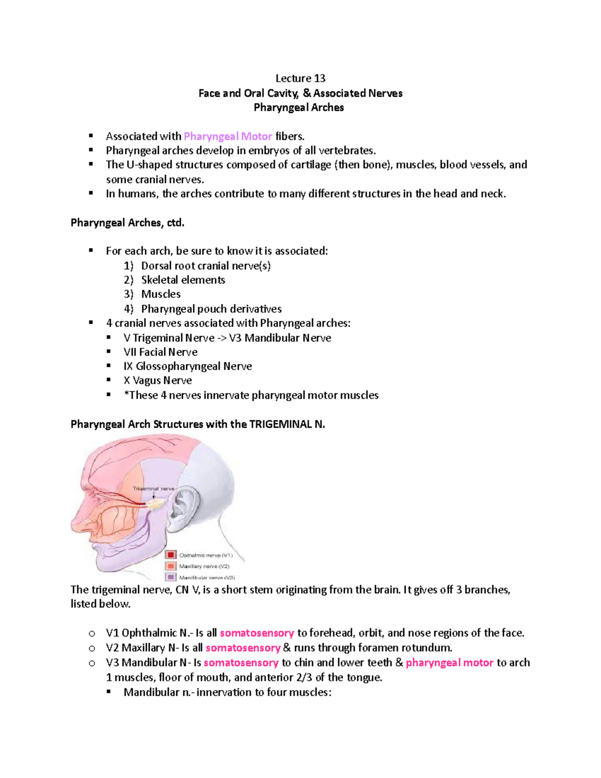 Lecture 13- Face and Oral Cavity - Lecture 13 Face and Oral Cavity ...