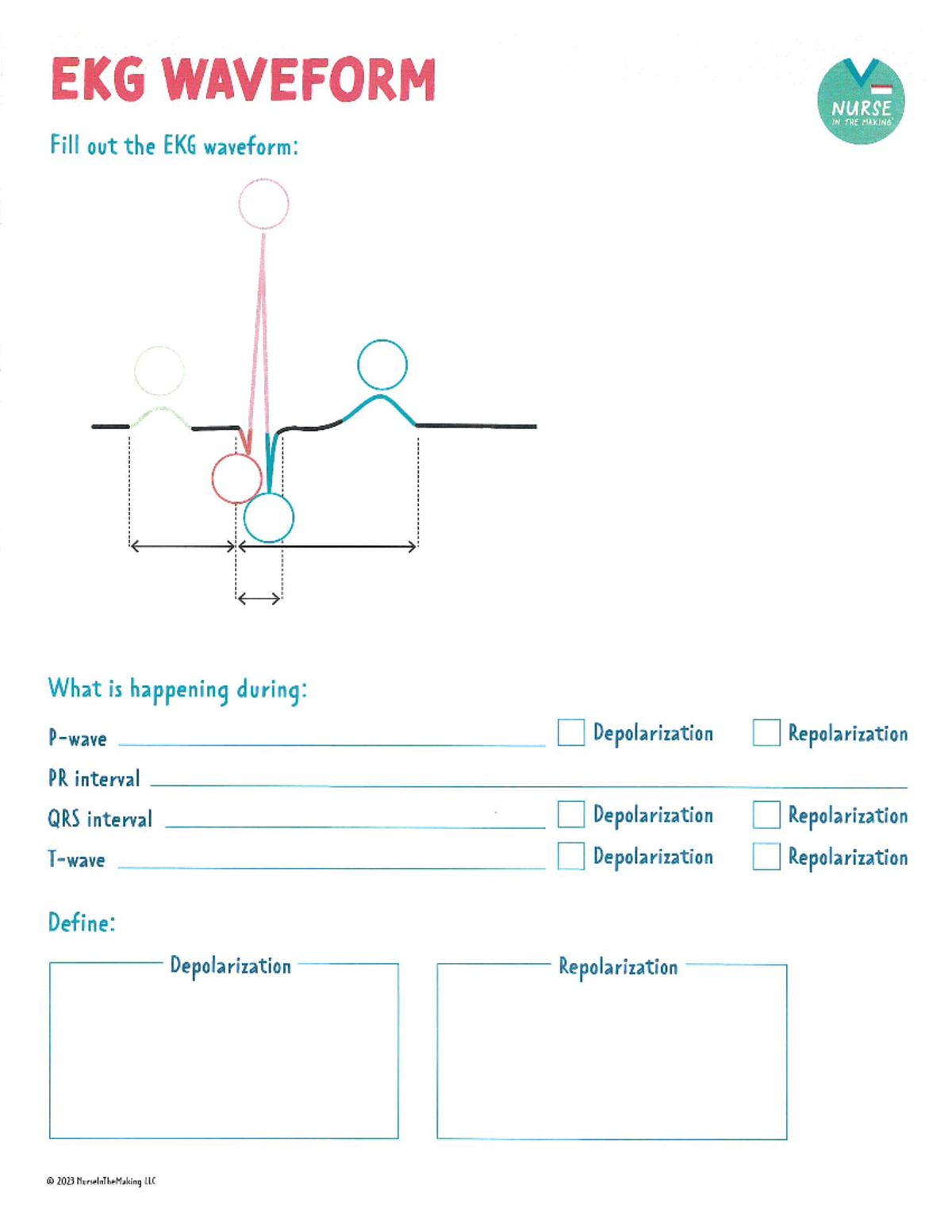 EKG Worksheets - Studocu