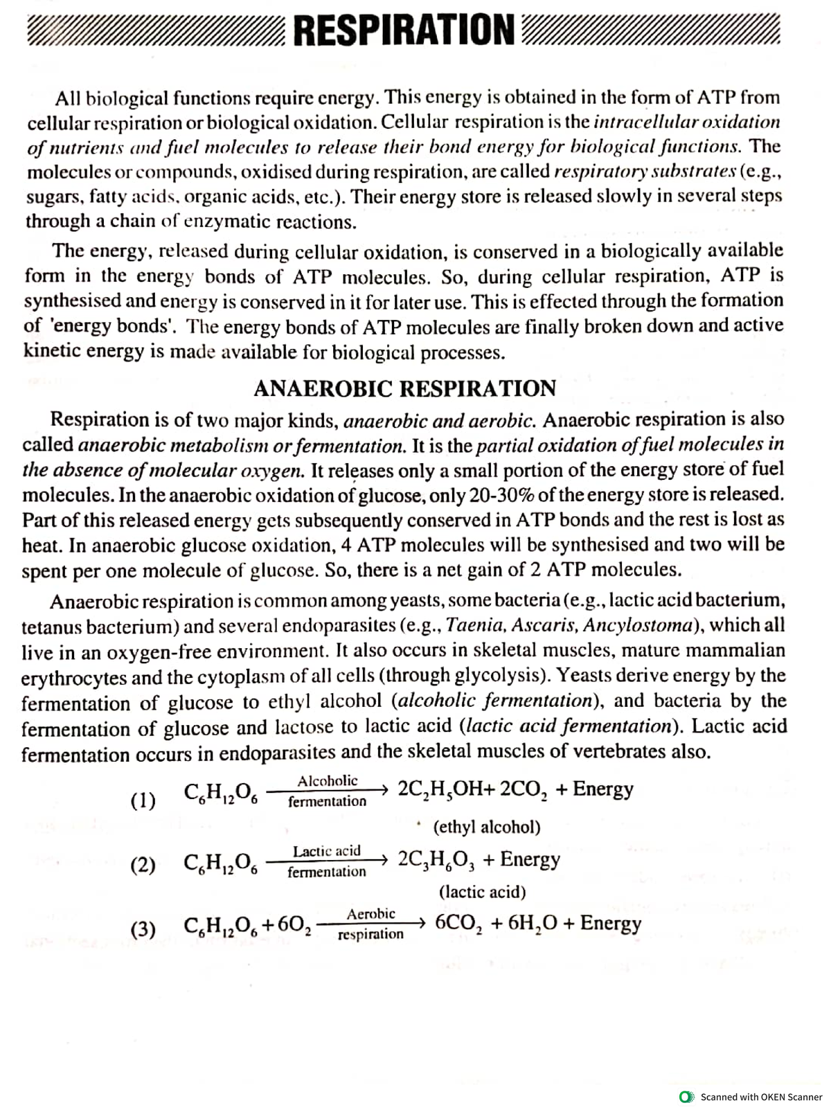 Respiration -Anaerobic and aerobic - Bsc zoology - Studocu