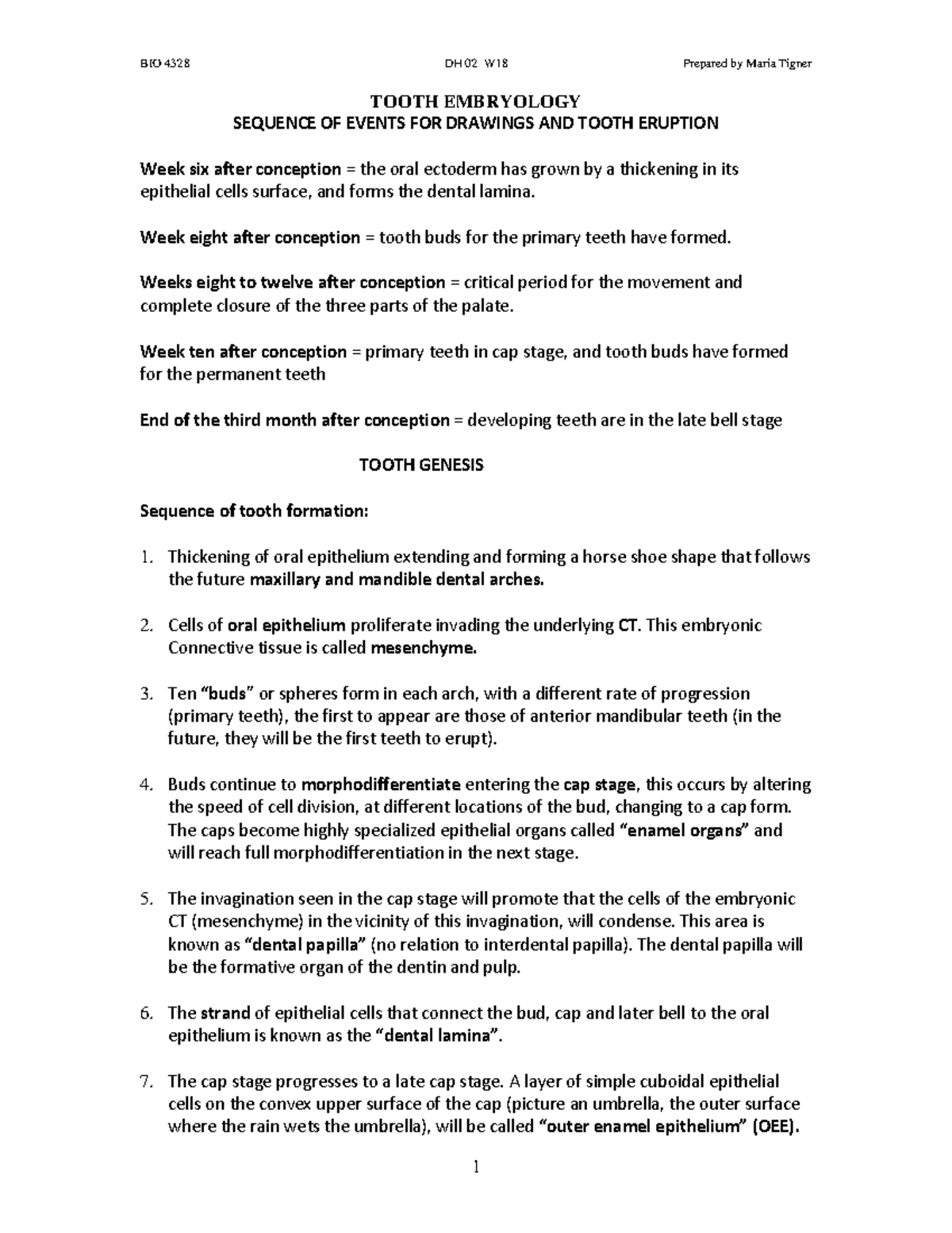 Tooth Embryology Sequence of events for drawings - Warning: TT: undefined function: 32 Warning ...