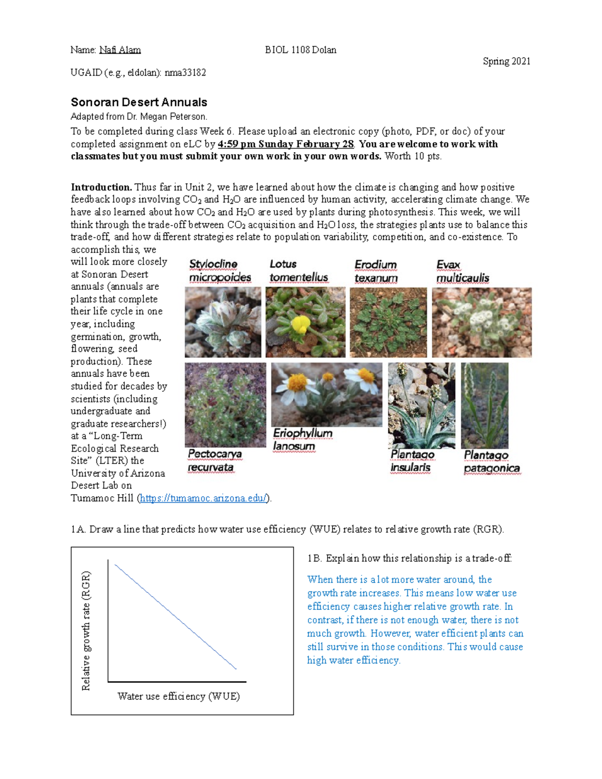 Sonoran Desert Annuals Assignment final - BIOL 1108 - UGA - Studocu
