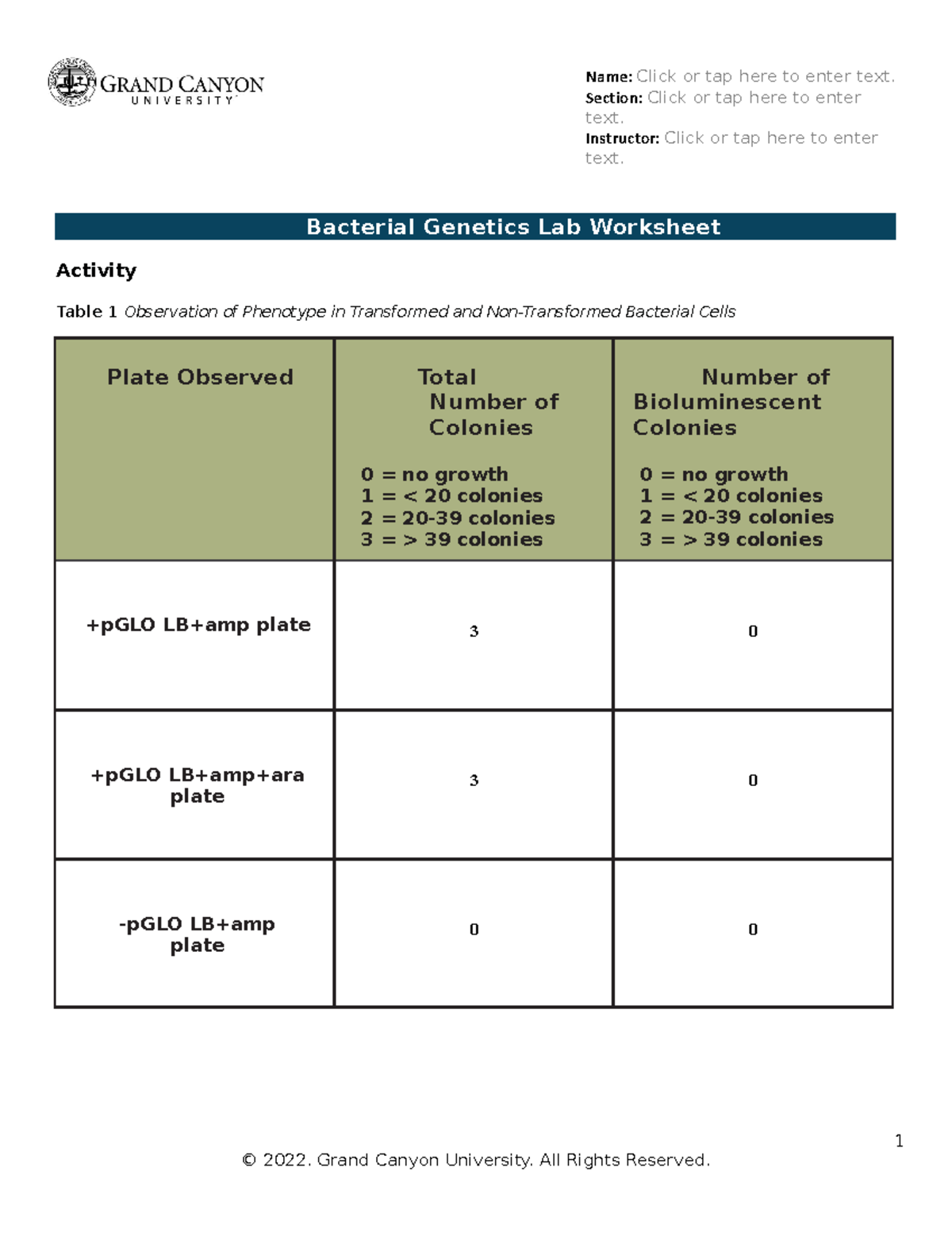 BIO 205L Bacterial Genetics Lab - Section: Click or tap here to enter ...