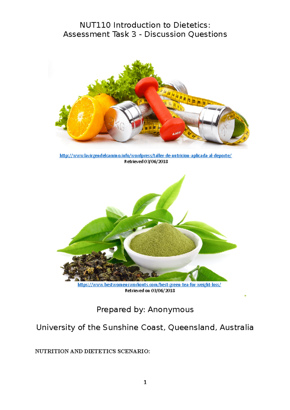 NUT110 Task 3 Assignment - NUT110 Introduction to Dietetics: Assessment ...