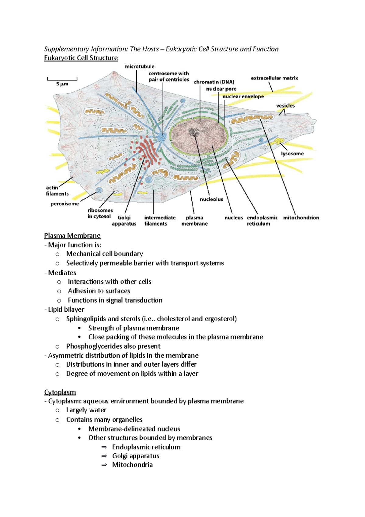 MST#2 - Notes - Supplementary Information: The Hosts – Eukaryotic Cell ...