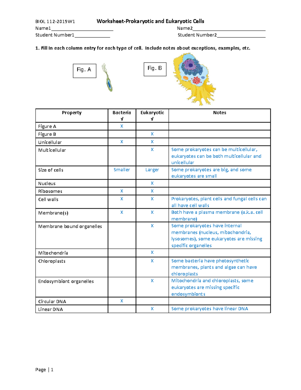 1-Pro Euk Worksheet-Answers - Warning: TT: undefined function: 32 BIOL ...