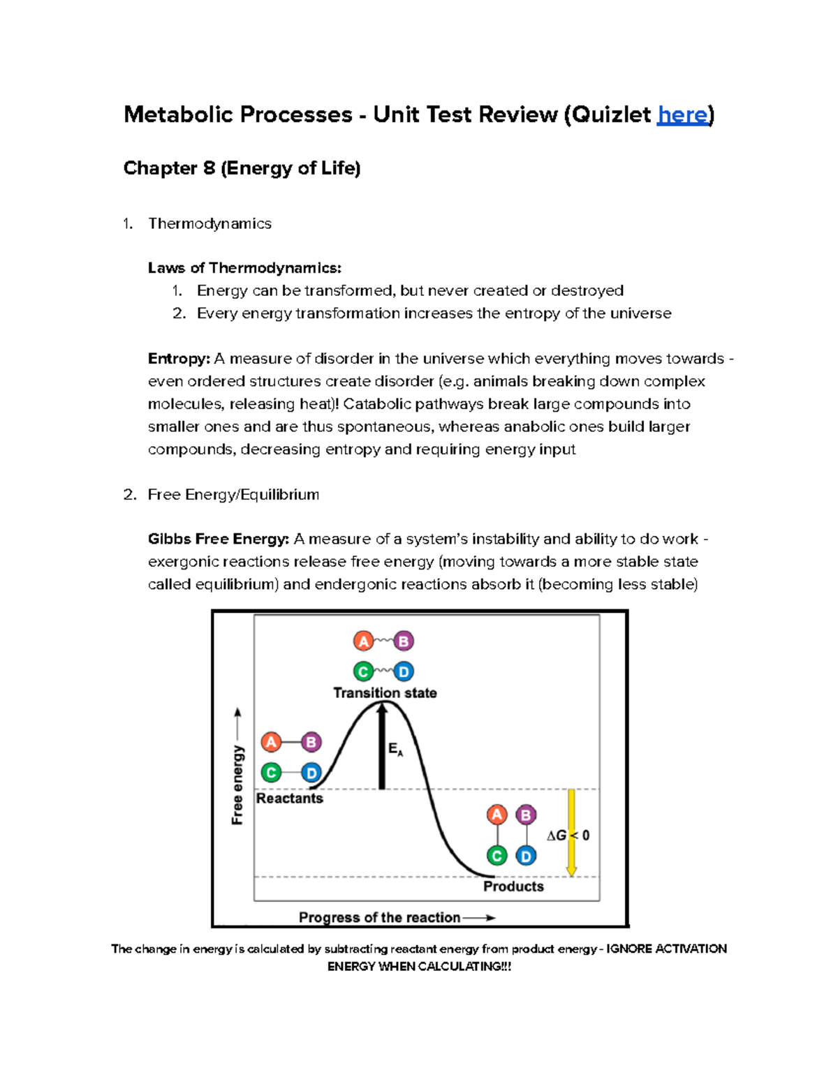 Metabolism Test Review - Metabolic Processes - Unit Test Review ...