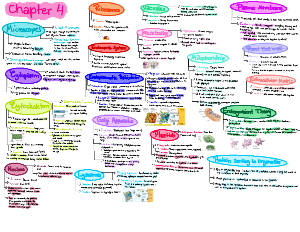 Notes Biochem - ¥ ¥ 8 % ;É Is os-z-P s → EE ¥ ' s s ¥f• ≈ S o ae ¥ ¥ ± ...