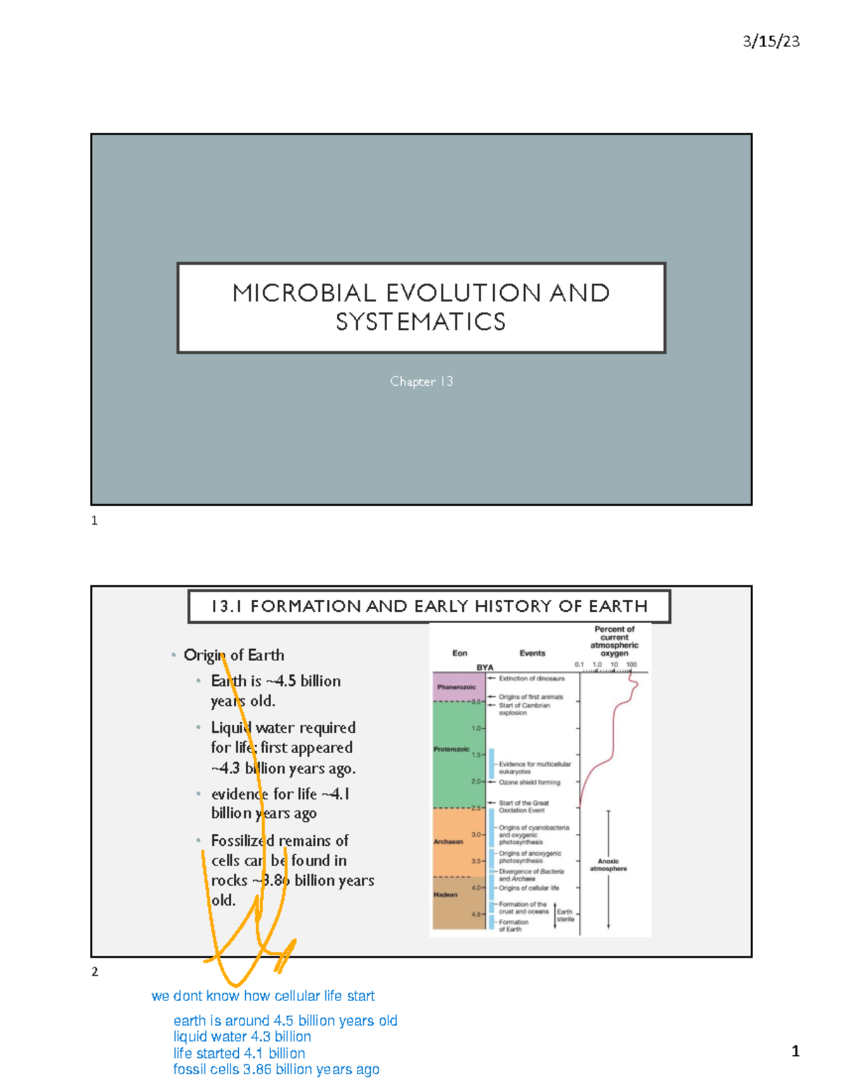 Module 11 SP23 - MICROBIAL EVOLUTION AND SYSTEMATICS Chapter 13 1 13 ...