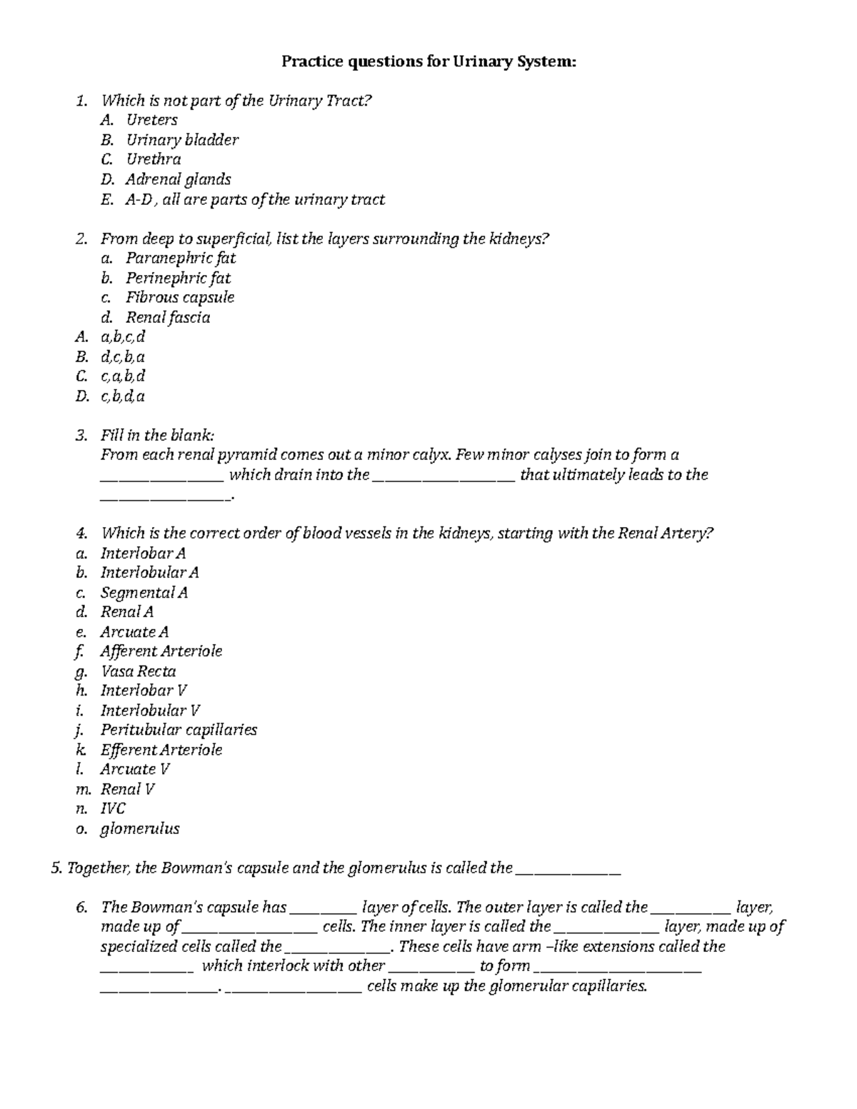 Practice questions for Urinary System - Which is not part of the ...