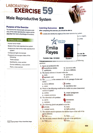 Lab 54 - Lab - LABORATORY _EXERCISE Digestive Organs Purpose of the ...