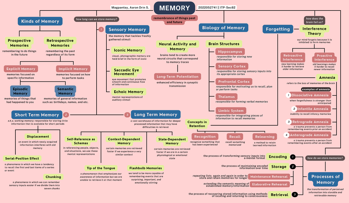 Memory and Learning Lesson Map - MEMORY remembrance of things past ...