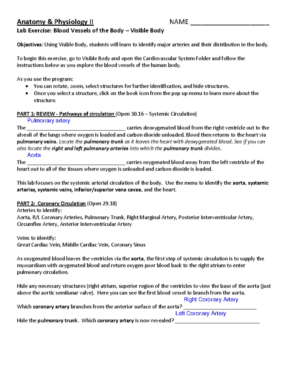 Blood Vessels Lab Complete - Anatomy & Physiology II NAME ...