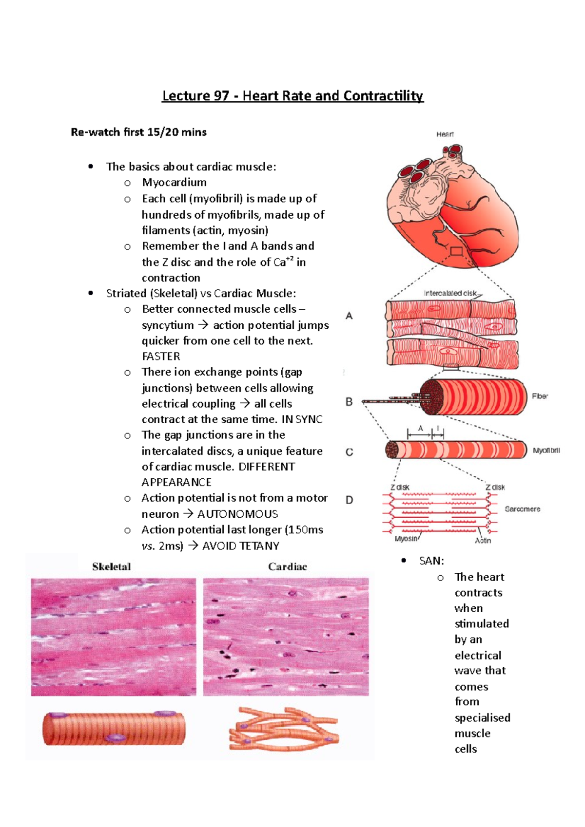 Lecture 97 Control Of HR And Contractility Lecture 97 Heart Rate