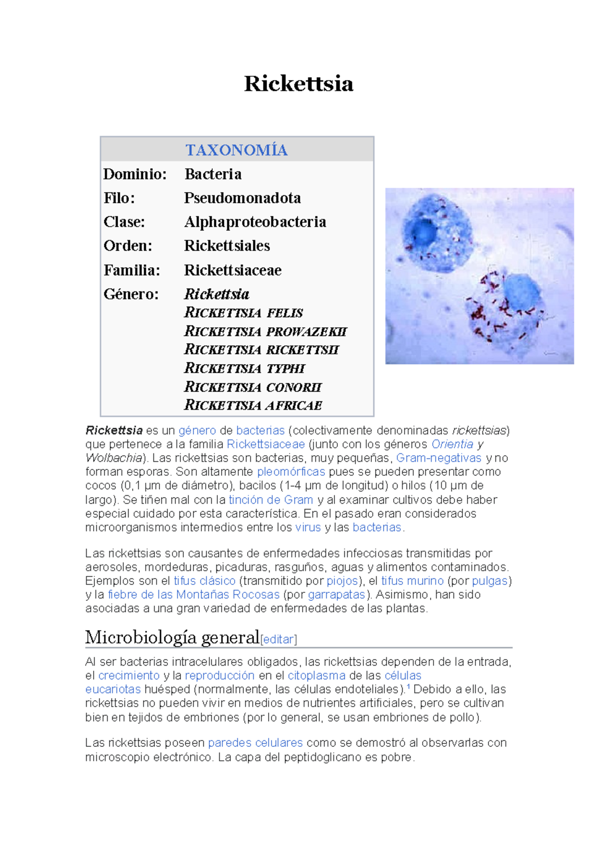 Rickettsia - Resumen Bacteriologia - Rickettsia TAXONOMÍA Dominio ...