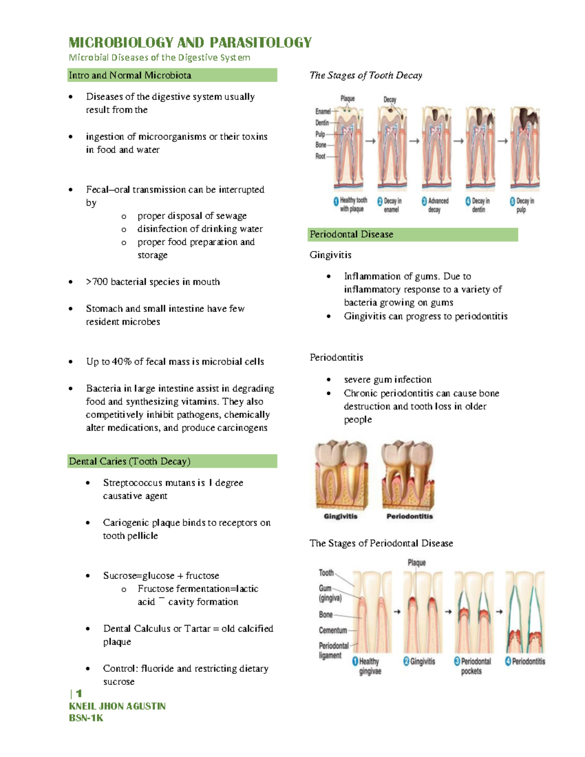 Micropara- Transes-15 - Microbial Diseases of the Digestive System | 1 ...