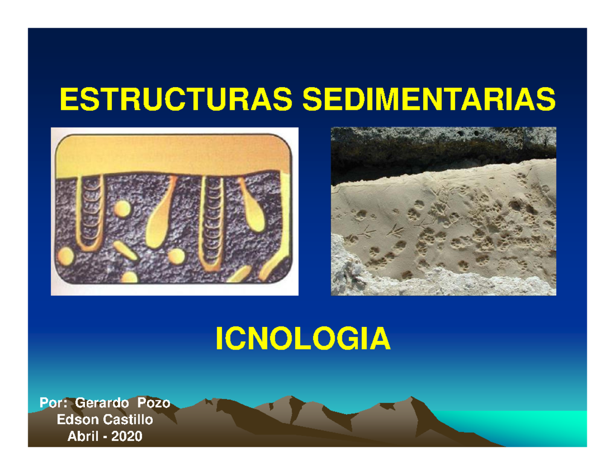 Icnologia Capitulo 3 - ESTRUCTURAS SEDIMENTARIAS Por: Gerardo Pozo ...