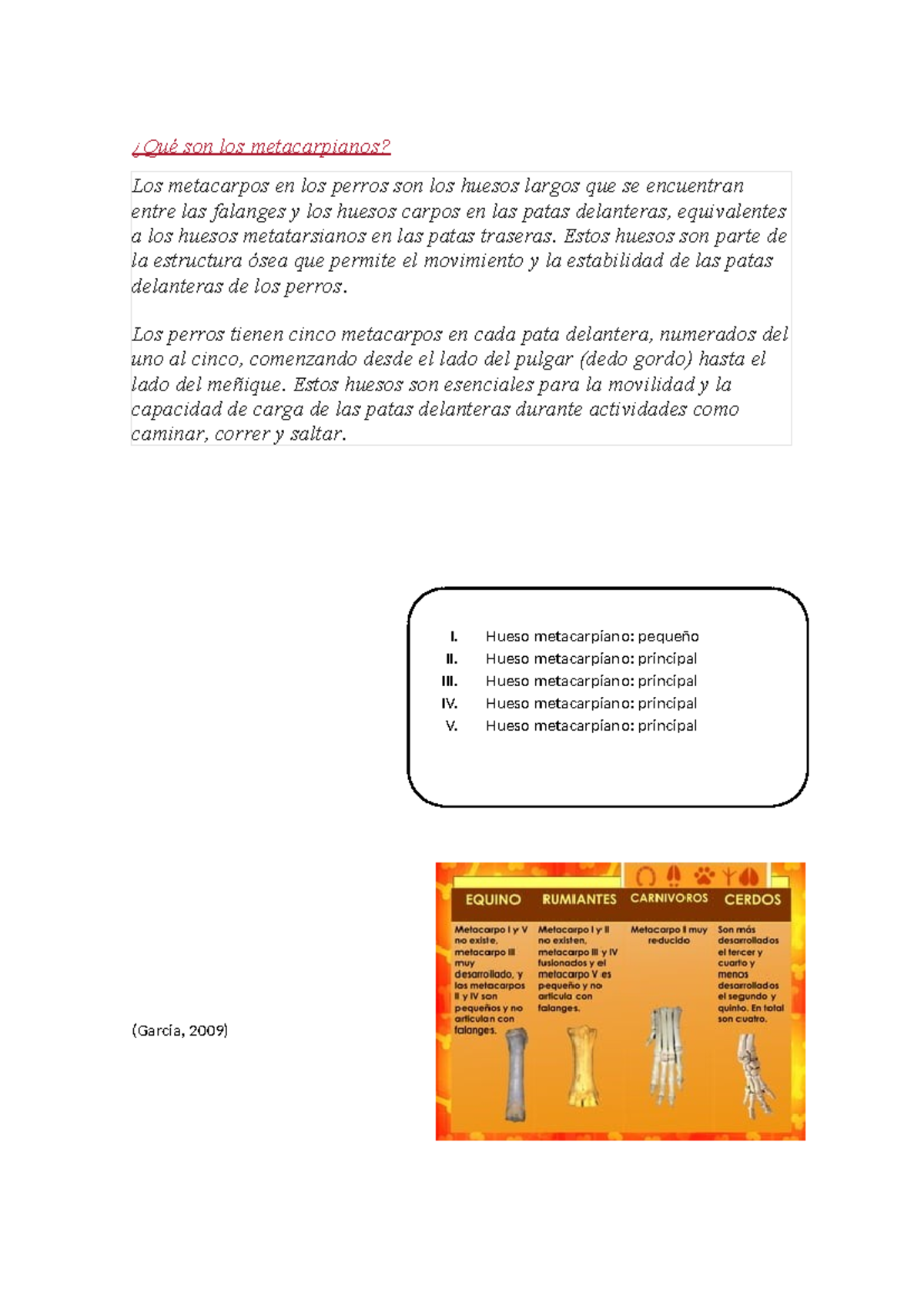 Metacarpos - siadasadadada - ¿Qué son los metacarpianos? Los metacarpos ...