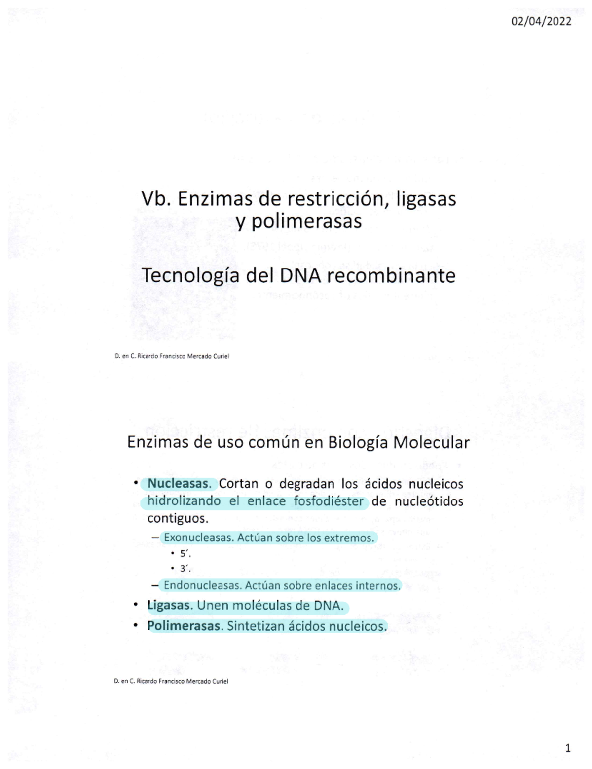 Vb. Enzimas de restricción, ligasas y polimerasas - Biología molecular ...