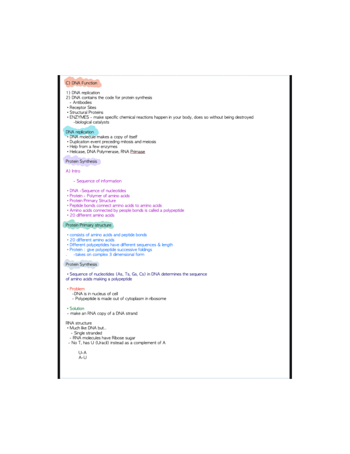 DNa and RNA structure - Week 3 Notes for midterm 1 - ANTHRO 2B - Studocu