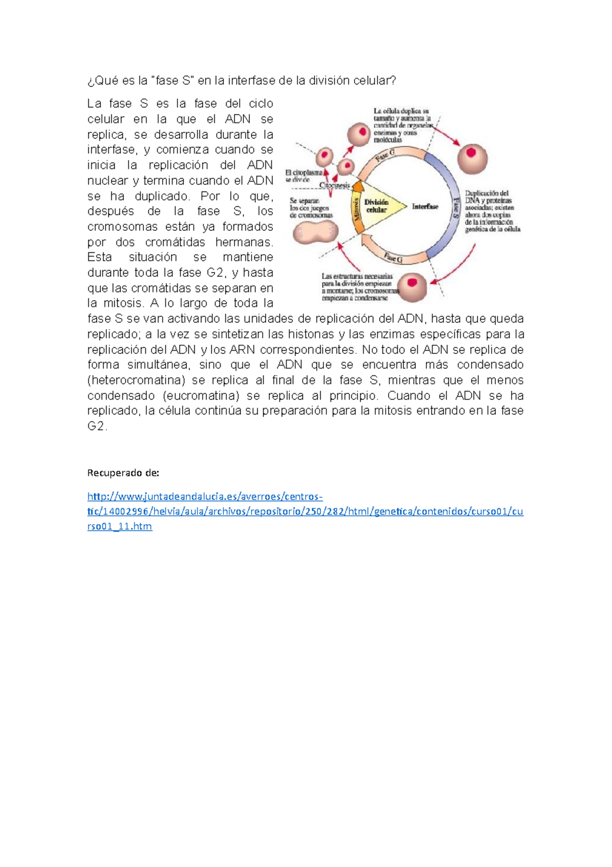 Que es la fase S - concepto de fase S - ¿Qué es la “fase S” en la ...
