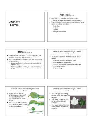 Updated Transes Template (Barebones) - OUTLINE LEARNING OBJECTIVES I ...