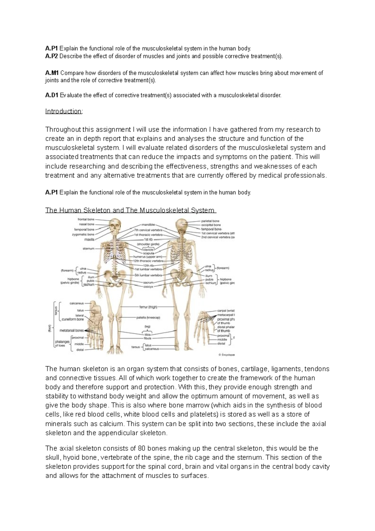 Unit 8 Physiology of Human Body Systems - A Explain the functional role ...