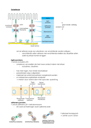 Hfst 2 cytologie - Bloed samenstelling bloed: procedure: Rode ...