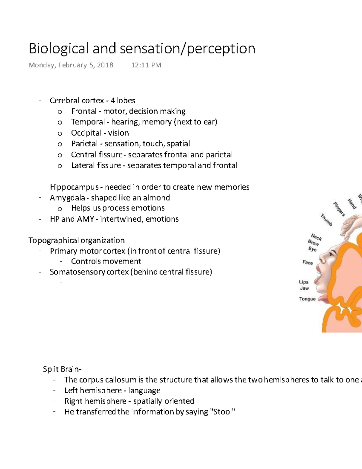 Biological and sensationperception - Biological and sensation ...