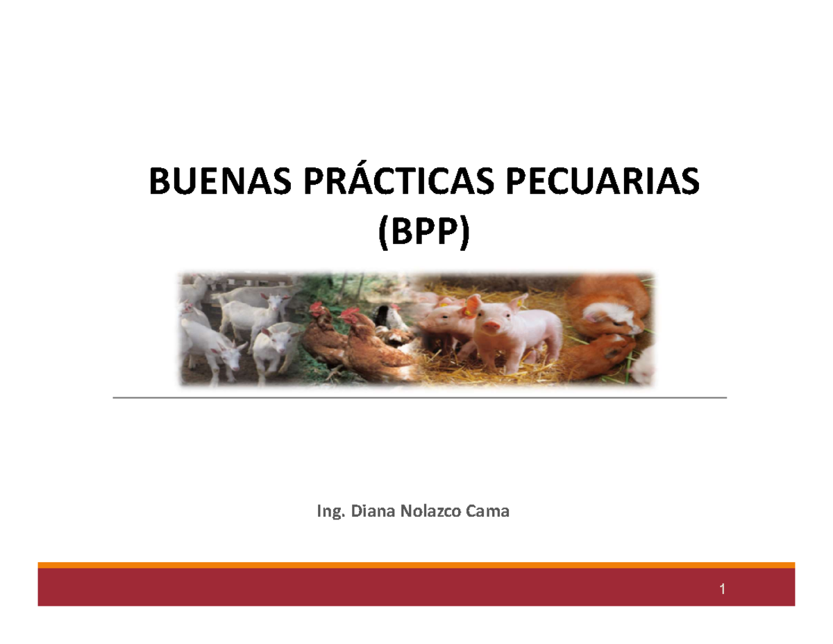 Buenas practicas pecuarias BPP - ####### 1 BUENAS PRÁCTICAS PECUARIAS (BPP) Ing. Diana Nolazco ...