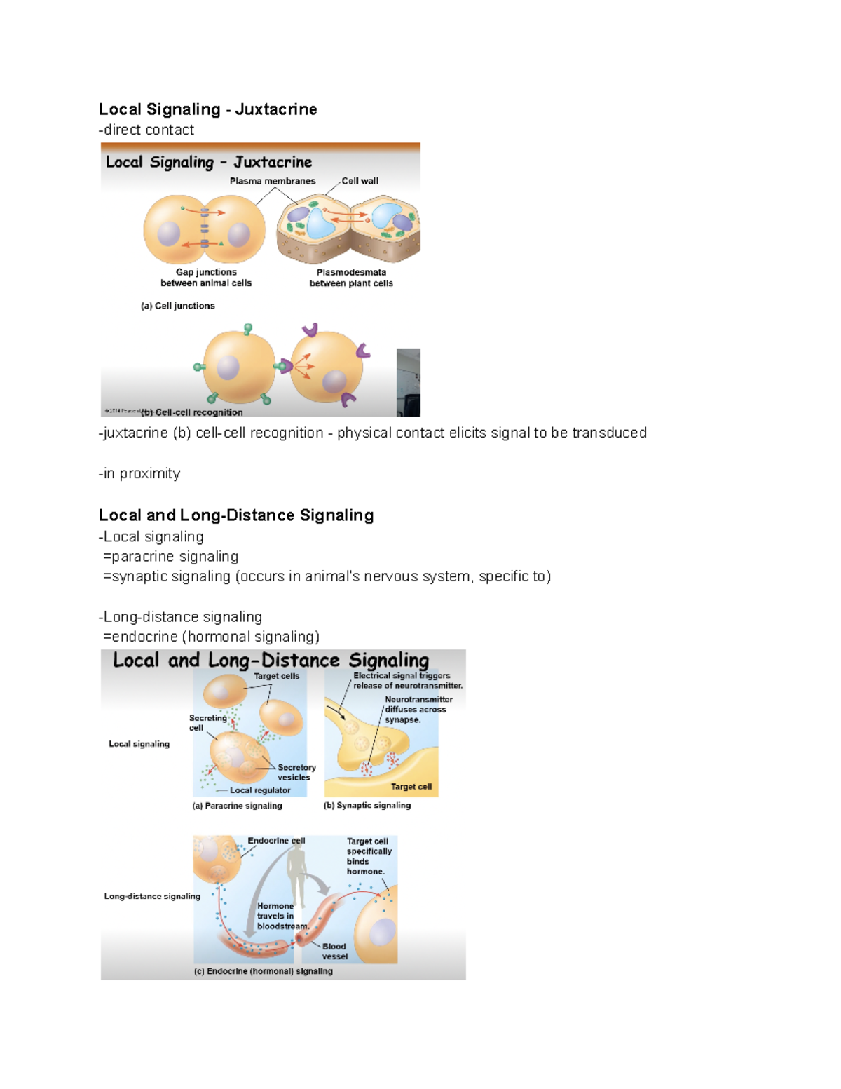BI 216 Cellular Communication Notes - Local Signaling - Juxtacrine ...
