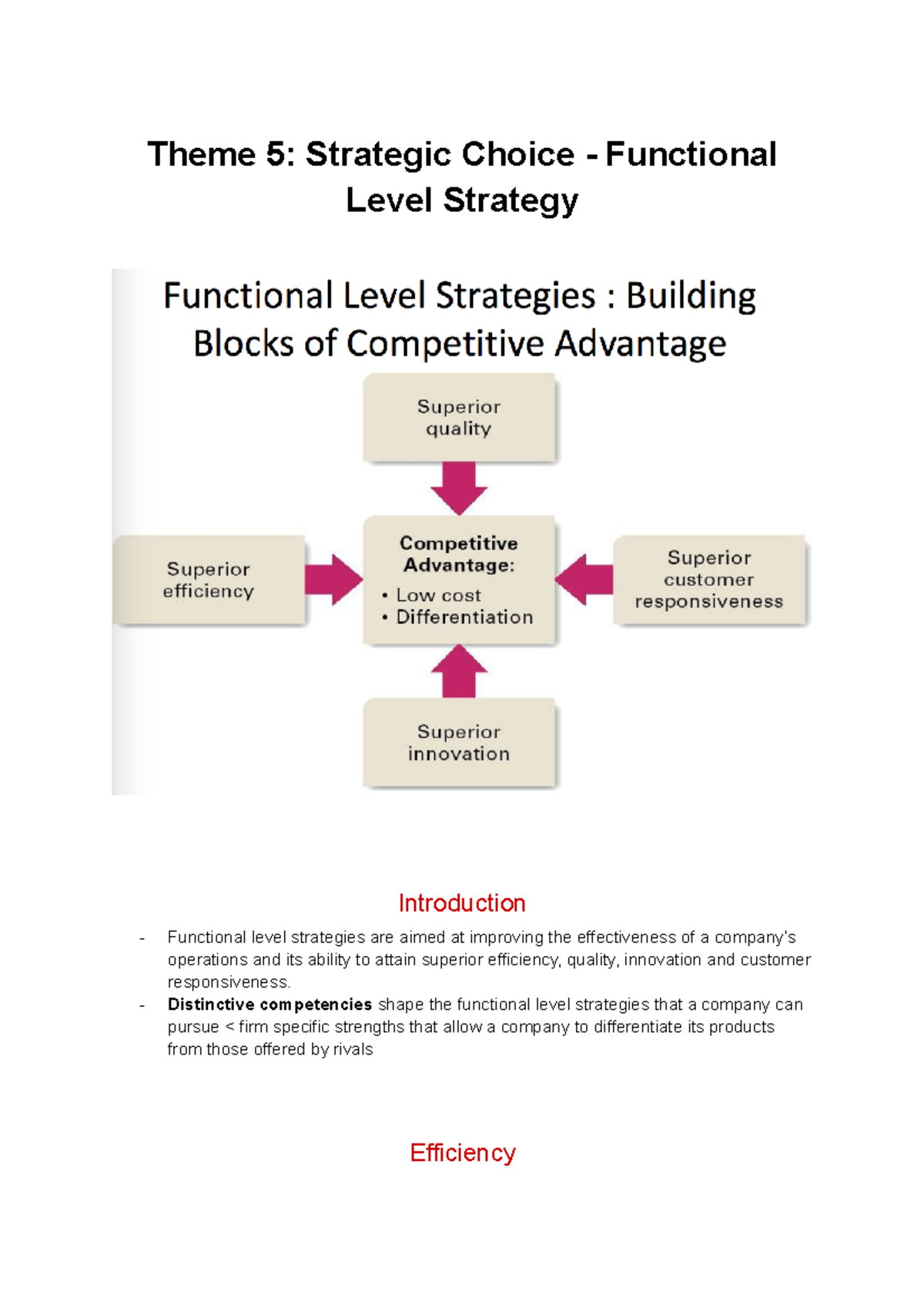 Theme 5 Strategic Choice Functional Level Strategies - Theme 5: Strategic Choice - Functional ...