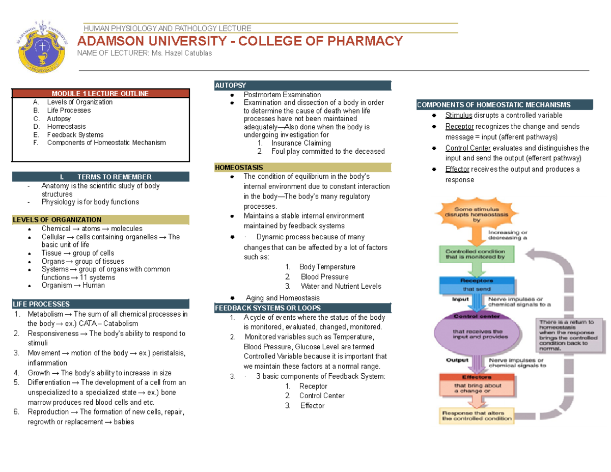 Final human patho physio lec lab trans - HUMAN PHYSIOLOGY AND PATHOLOGY ...