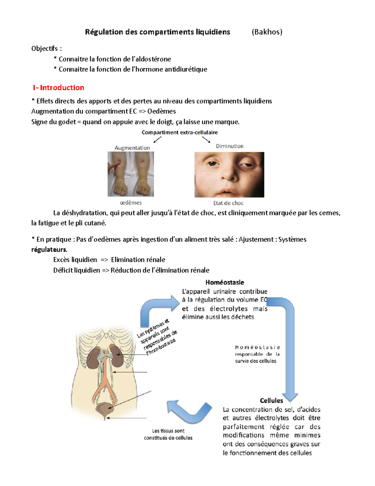 Les compartiments liquidiens de l 'organisme - L 'UNF3S en 2015, c 'est