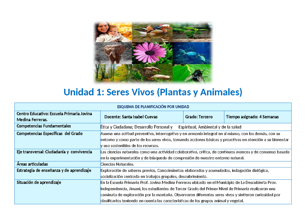 Planificación de Naturales III - Unidad 1: Seres Vivos (Plantas y ...